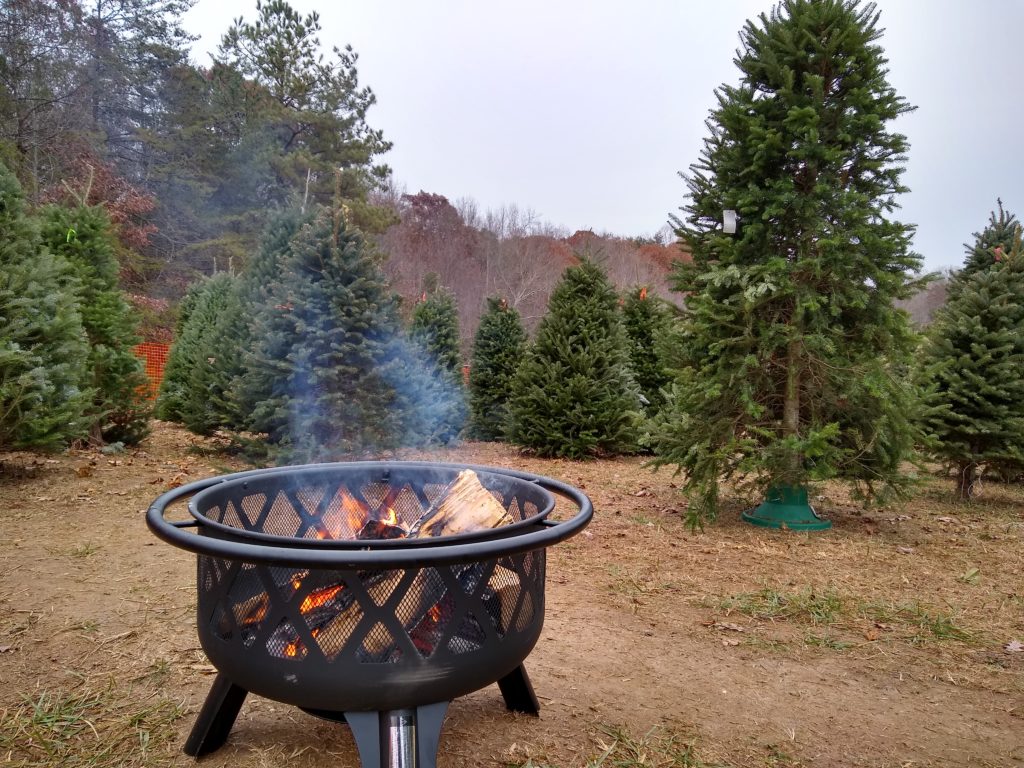 Christmas - Woods Tree Farm