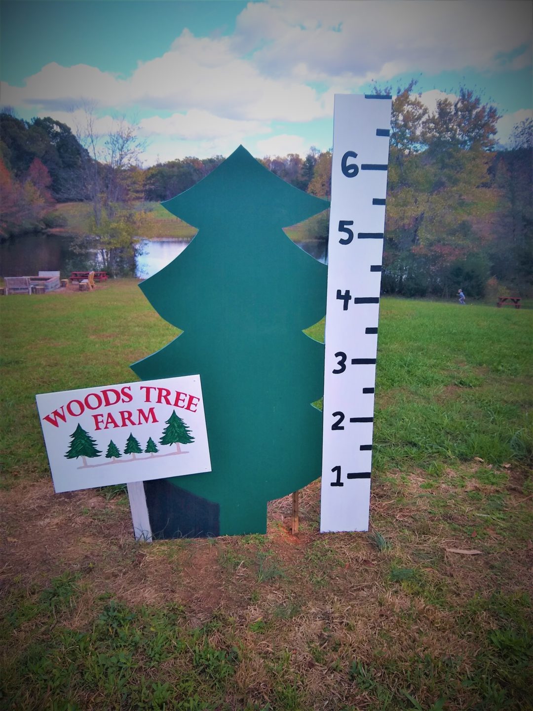 Christmas - Woods Tree Farm