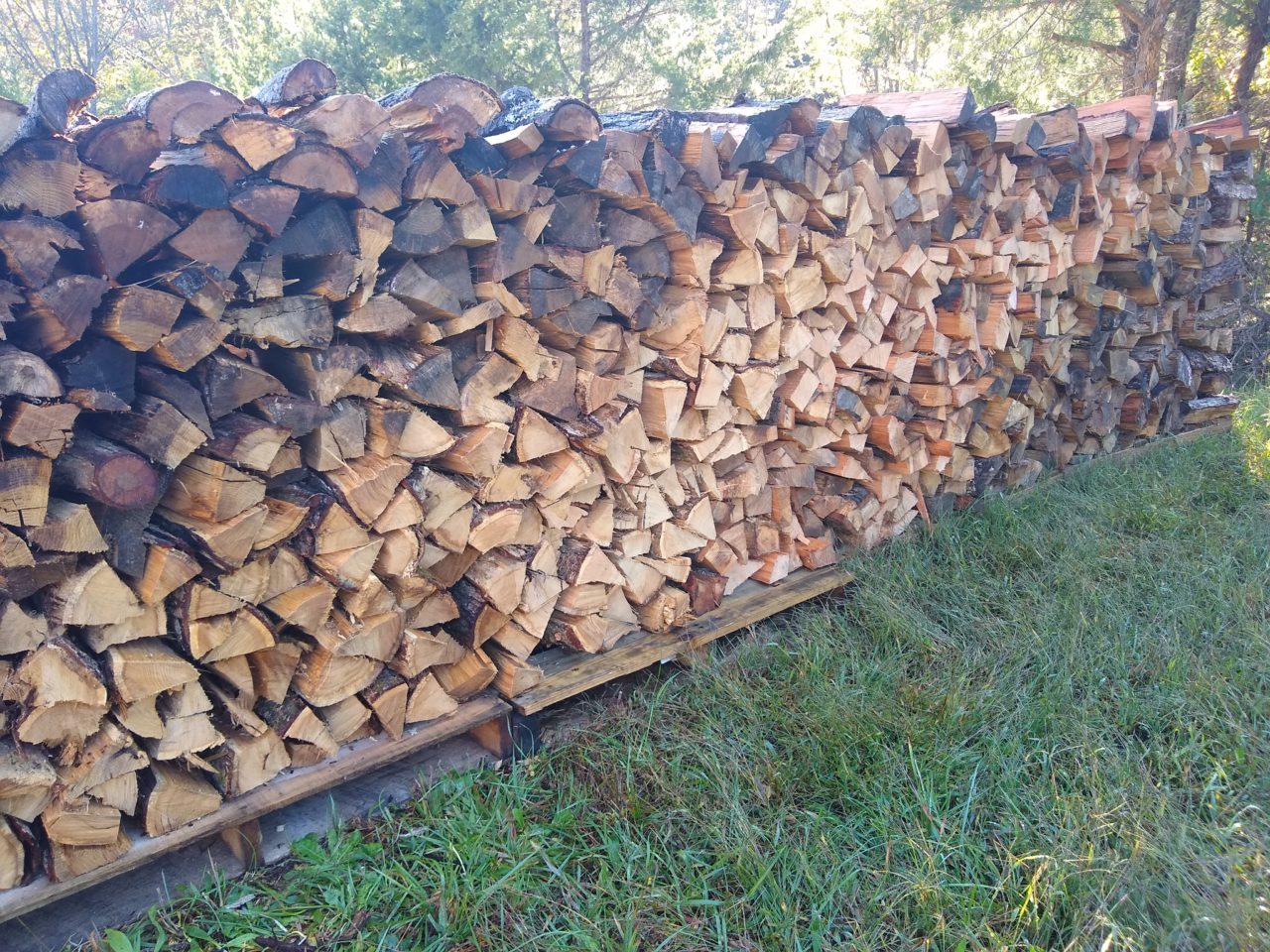 Woods Tree Farm - Amelia, Powhatan, Midlothian Christmas Tree Farm