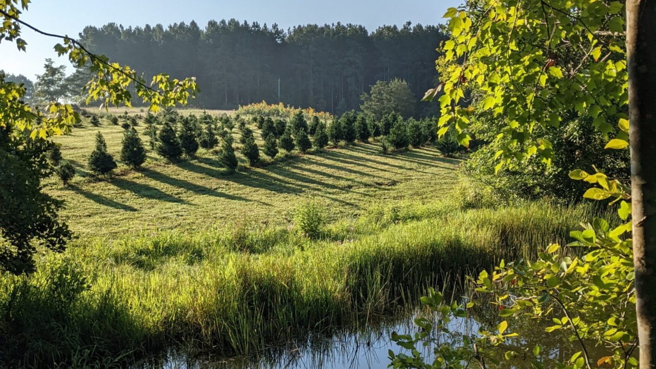 Field Trips & Outings - Woods Tree Farm