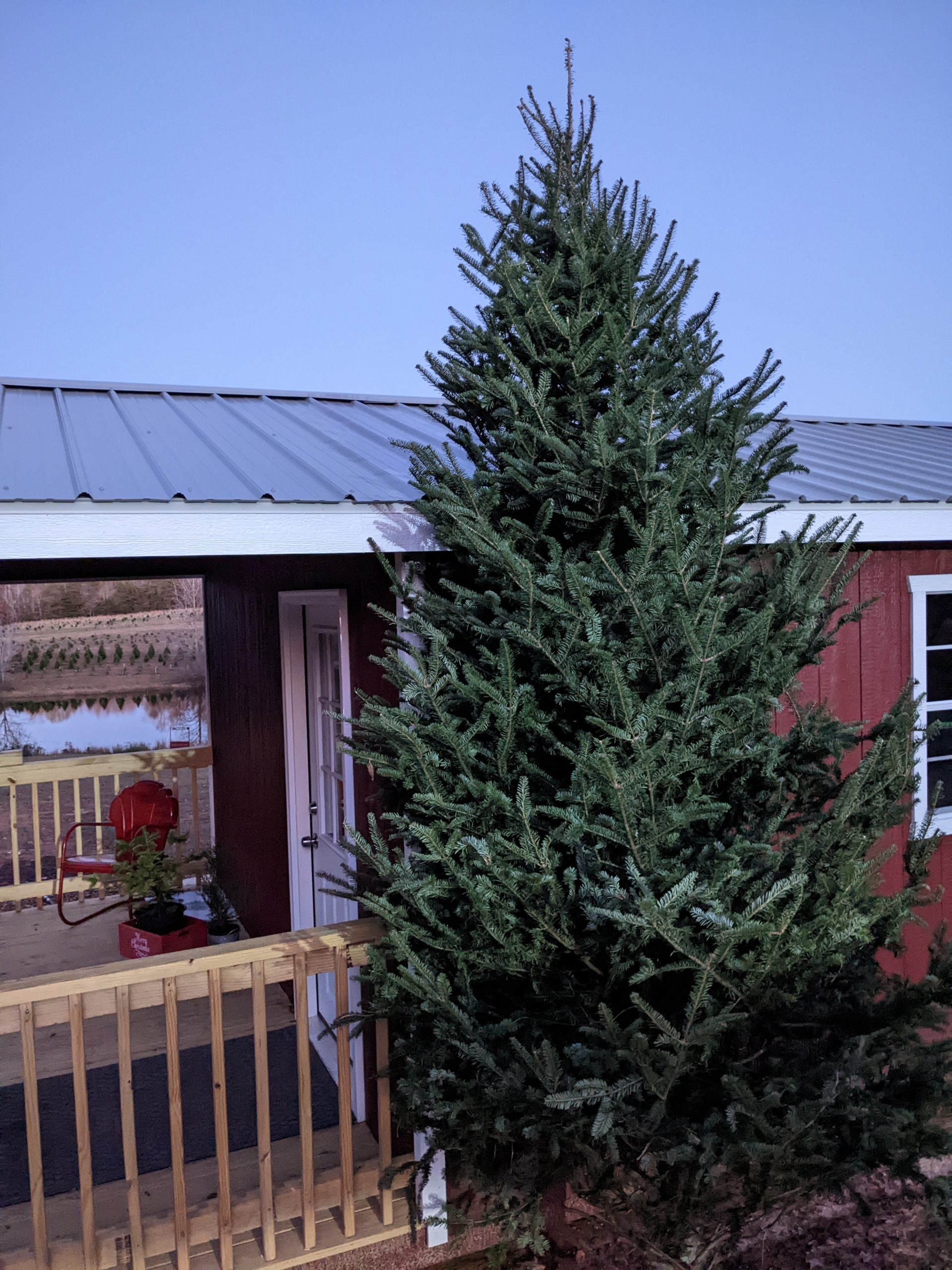 Christmas - Woods Tree Farm