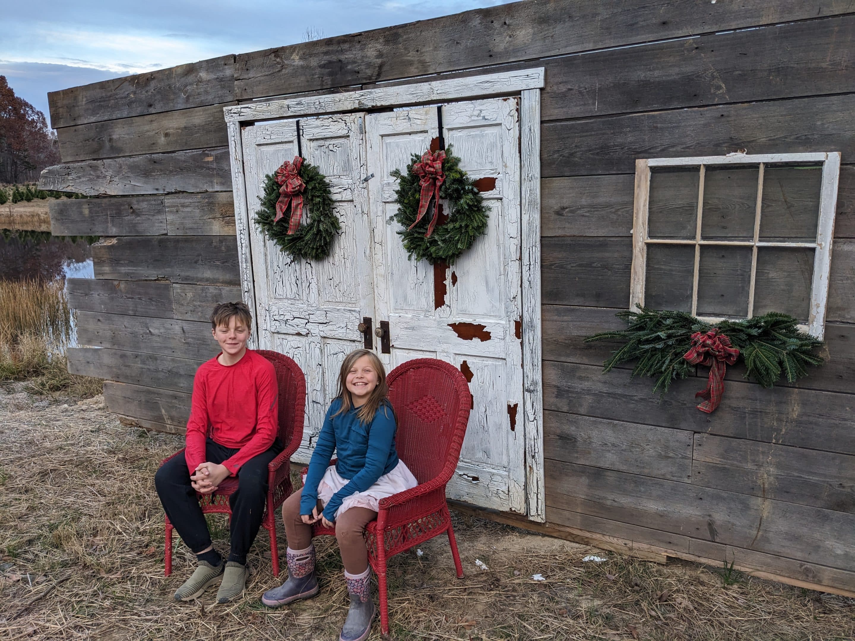 Christmas - Woods Tree Farm